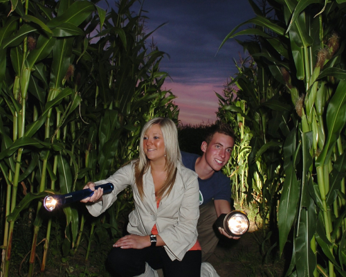 Maize Maze Association