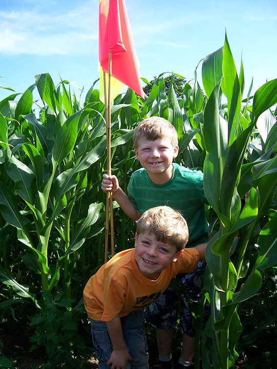Maize Mazes in Education