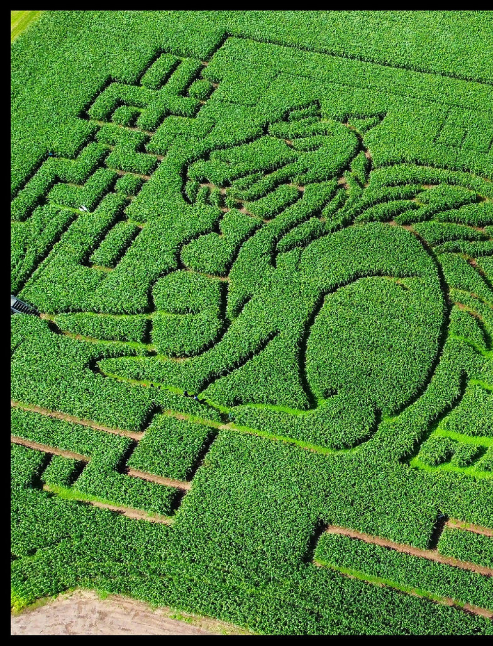 Maize Maze Locations | Brimstage Maize Maze in the Wirral, Liverpool
