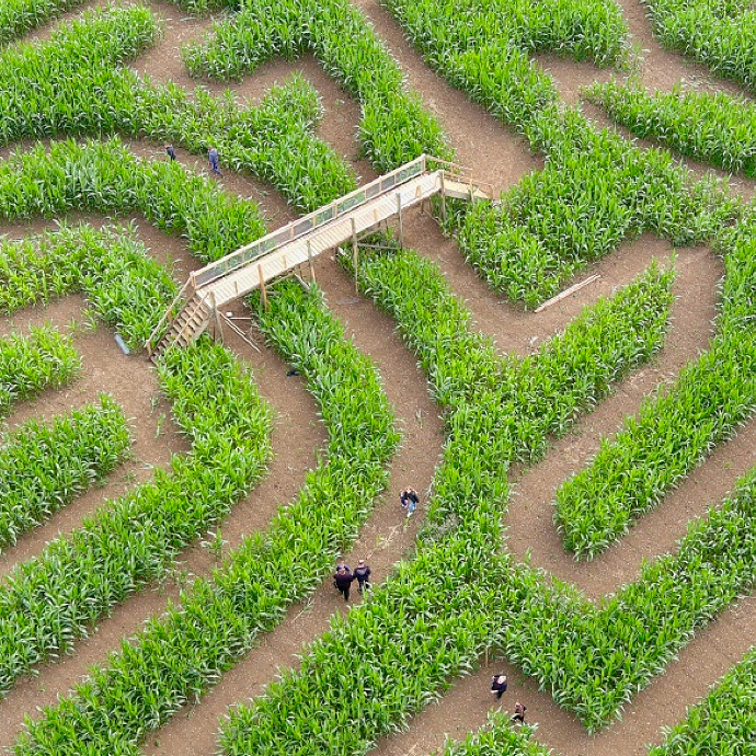Maize Maze Locations | Cammas Hall Maize Maze