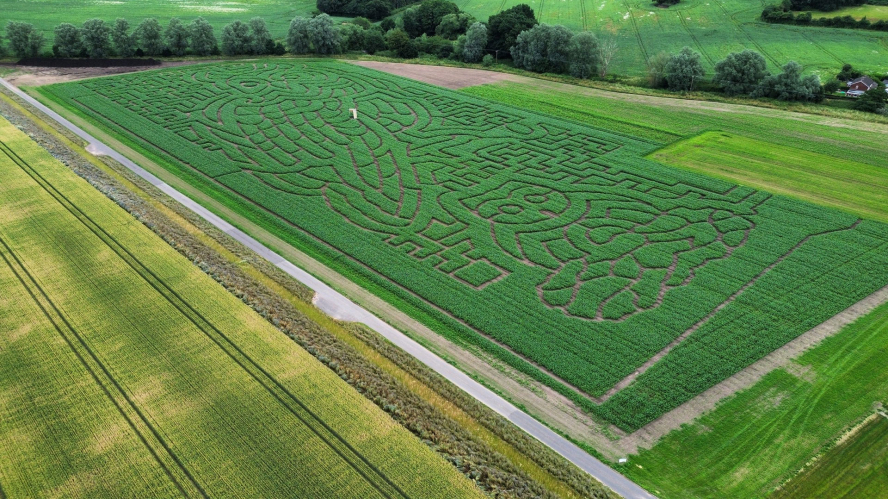 Maize Maze Locations | Lichfield Maize Maze in Lichfield