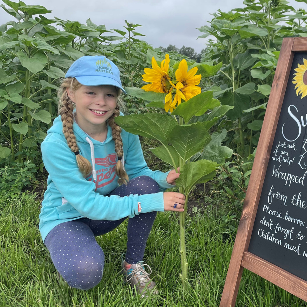 Maize Maze Locations | Lichfield Maize Maze in Lichfield