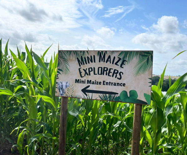Maize Maze Locations | Manor Farm Fruits Maize Maze in Hints