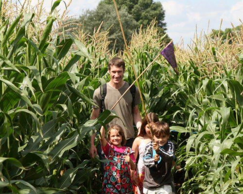 Millets Farm Centre Maize Maze in Oxford | The Maize Maze Association