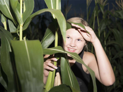 Millets Farm Centre Maize Maze in Oxford | The Maize Maze Association
