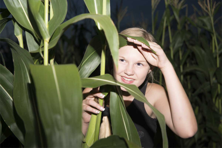 Millets Farm Centre Maize Maze in Oxford | The Maize Maze Association