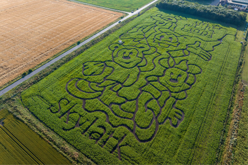 Maize Maze Association