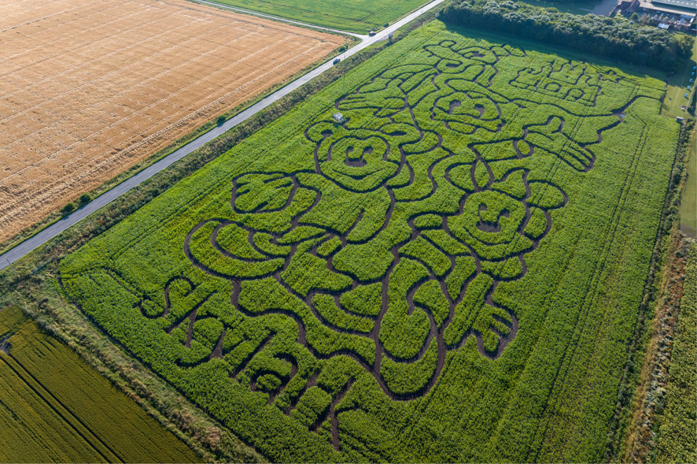 Maize Maze Association