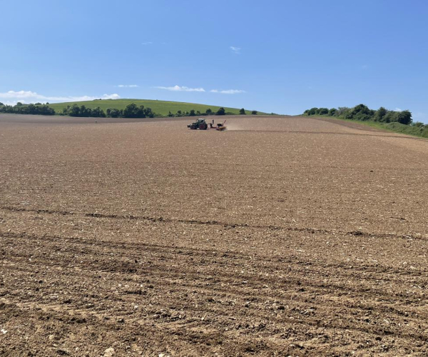 Maize Maze Locations | South Farm Rodmell, Lewes, East Sussex