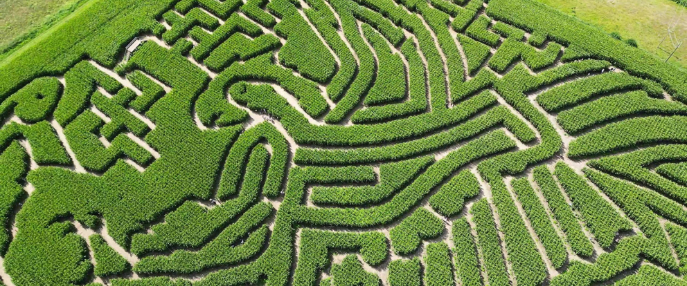 Maize Maze Association