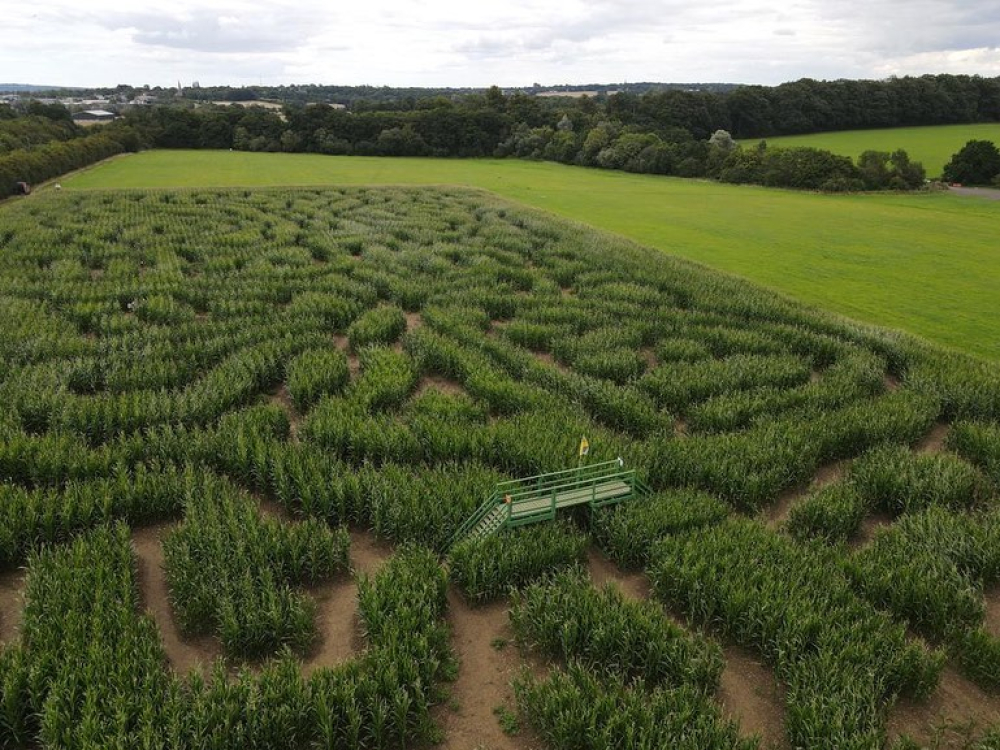 Maize Maze Locations | Writtle Maize Maze in Chelsford, Essex