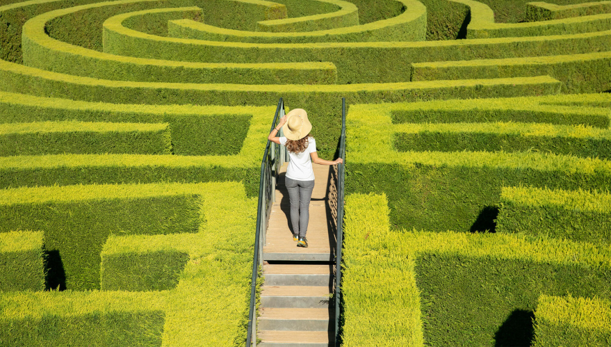 About the Maize Maze Association