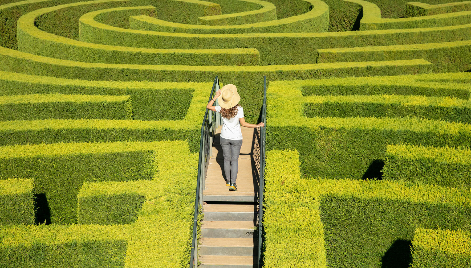 About the Maize Maze Association